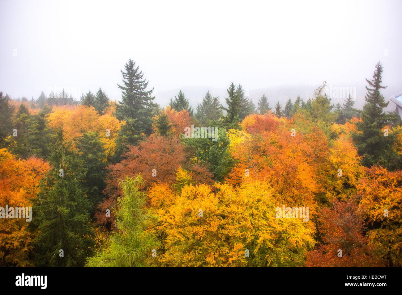 Autumn in Czech republic Stock Photo - Alamy