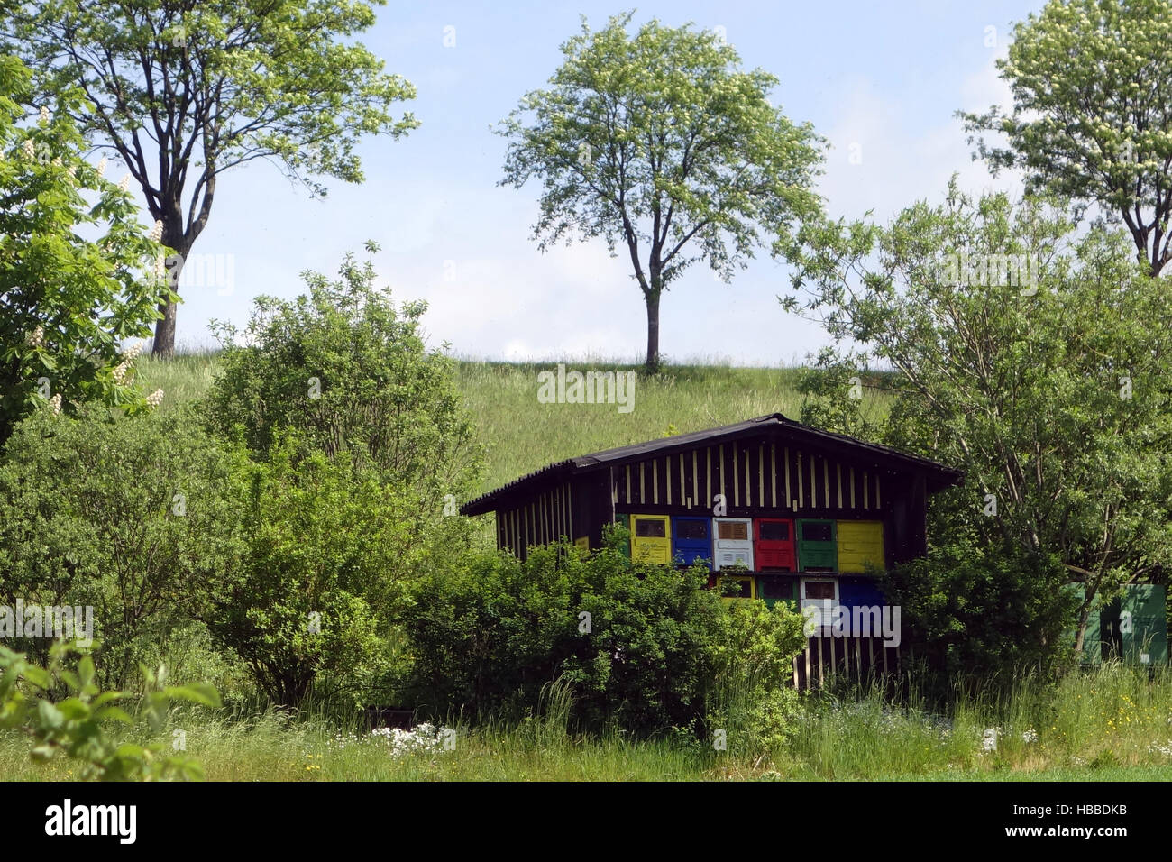 Ancient apiary hi-res stock photography and images - Alamy