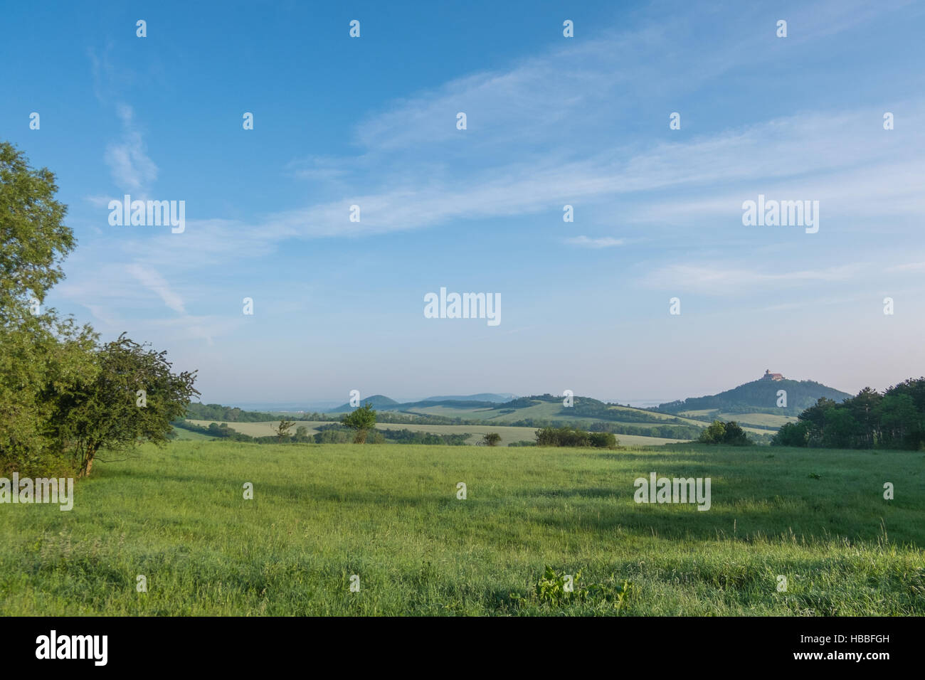 Landscape in summer Stock Photo - Alamy