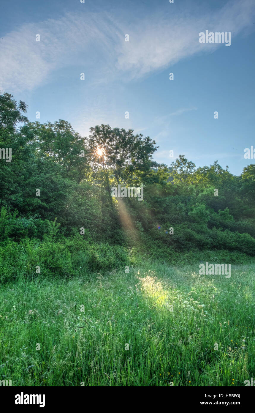 Landscape in summer Stock Photo - Alamy