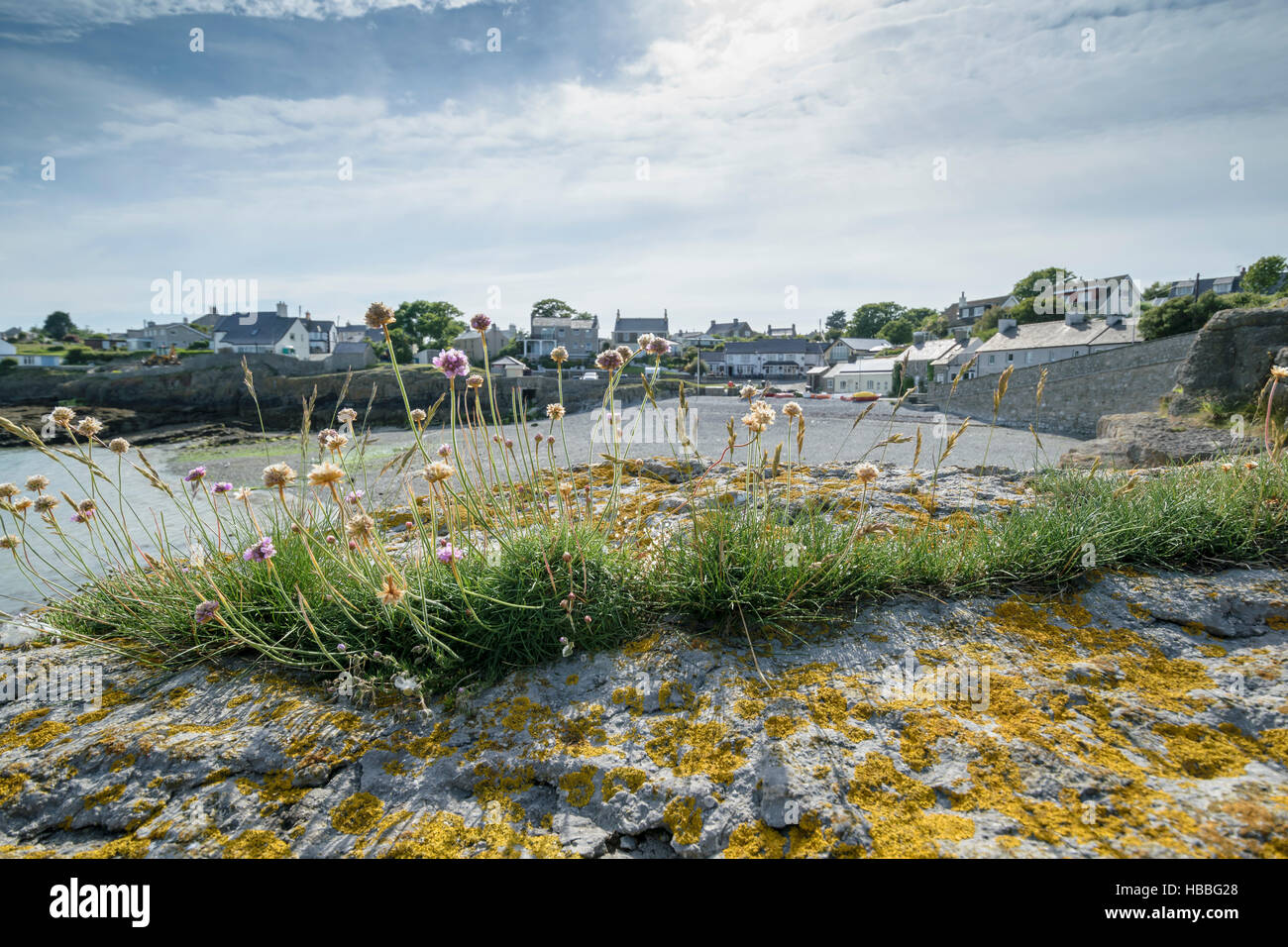 Moelfre fishing village and RNLI base on the coast of Anglesey North ...