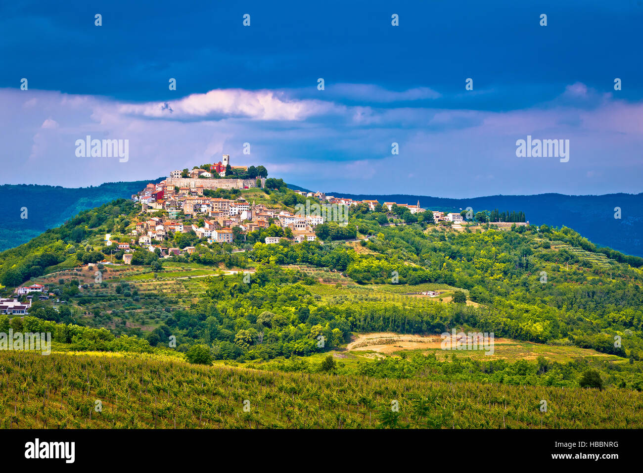 Motovun hill town hi-res stock photography and images - Alamy