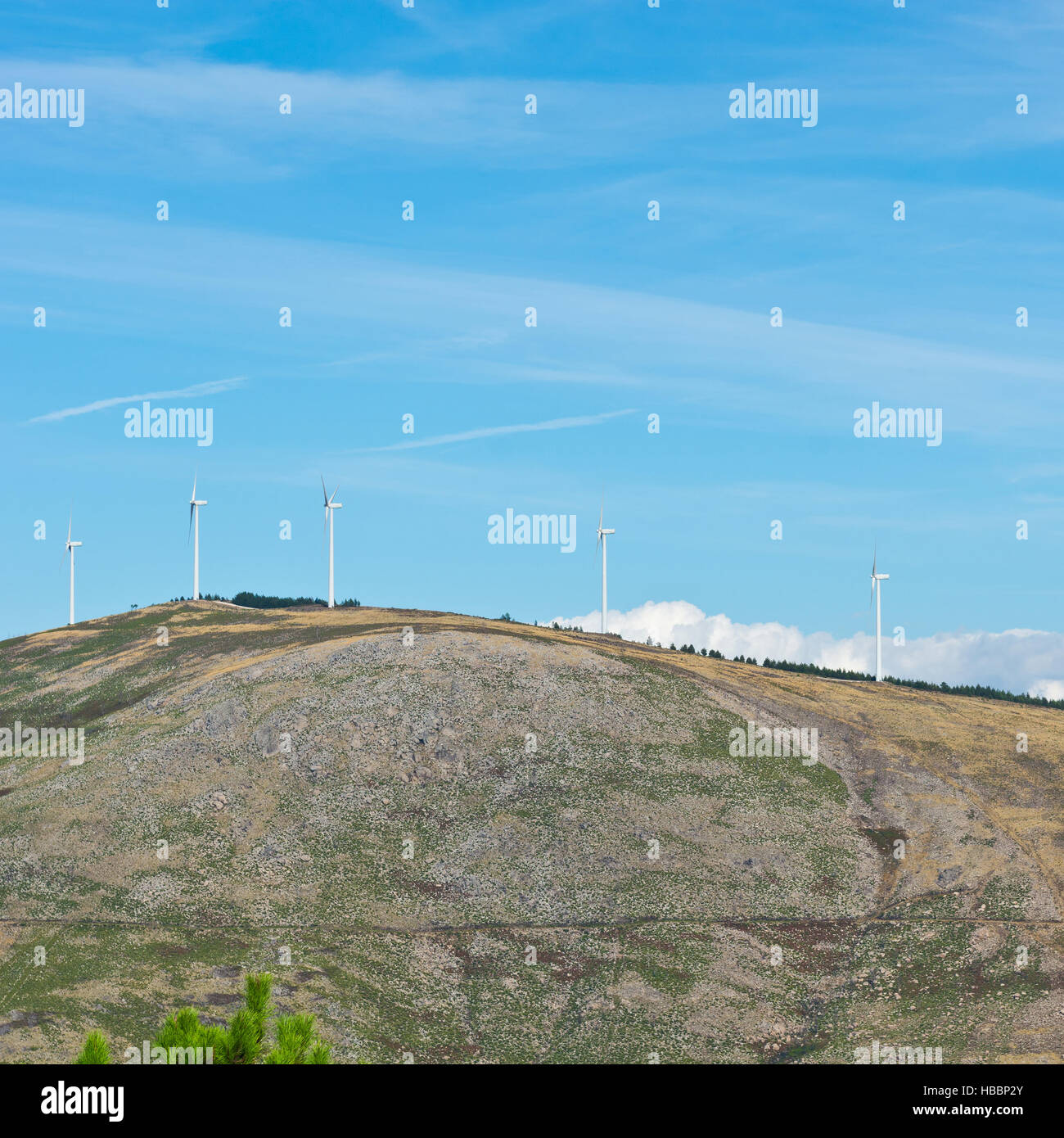 Wind turbine electrical power pole hi-res stock photography and images ...