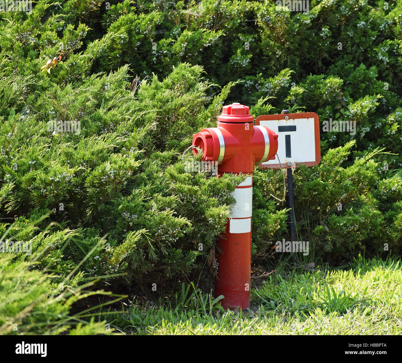 Fire hydrant in the park Stock Photo - Alamy