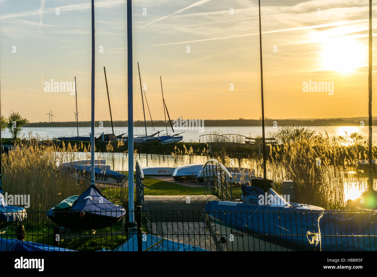 Landscape at the Dümmer lake Stock Photo - Alamy