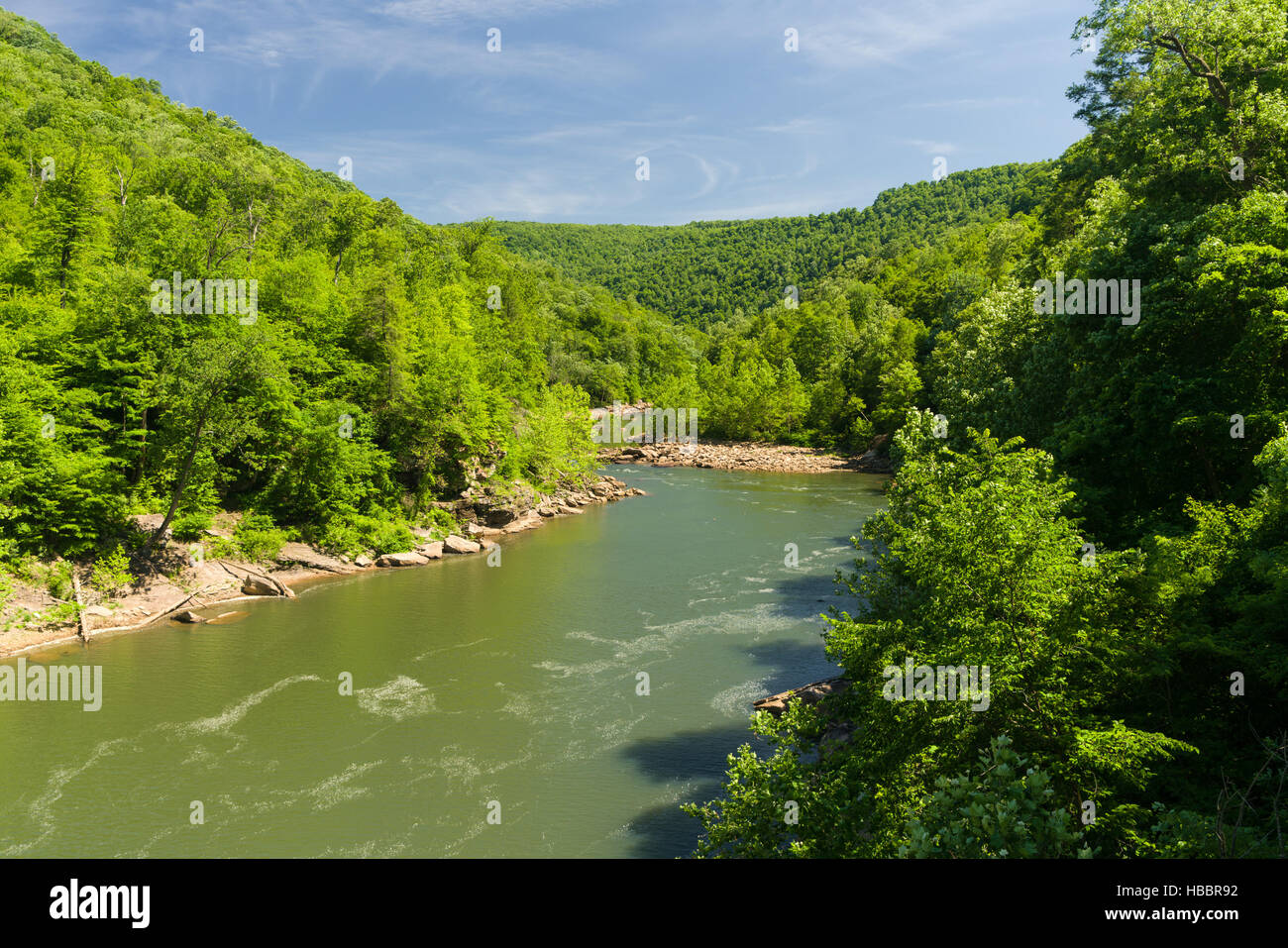 View of Cheat River from Jenkinsburg Bridge Stock Photo - Alamy