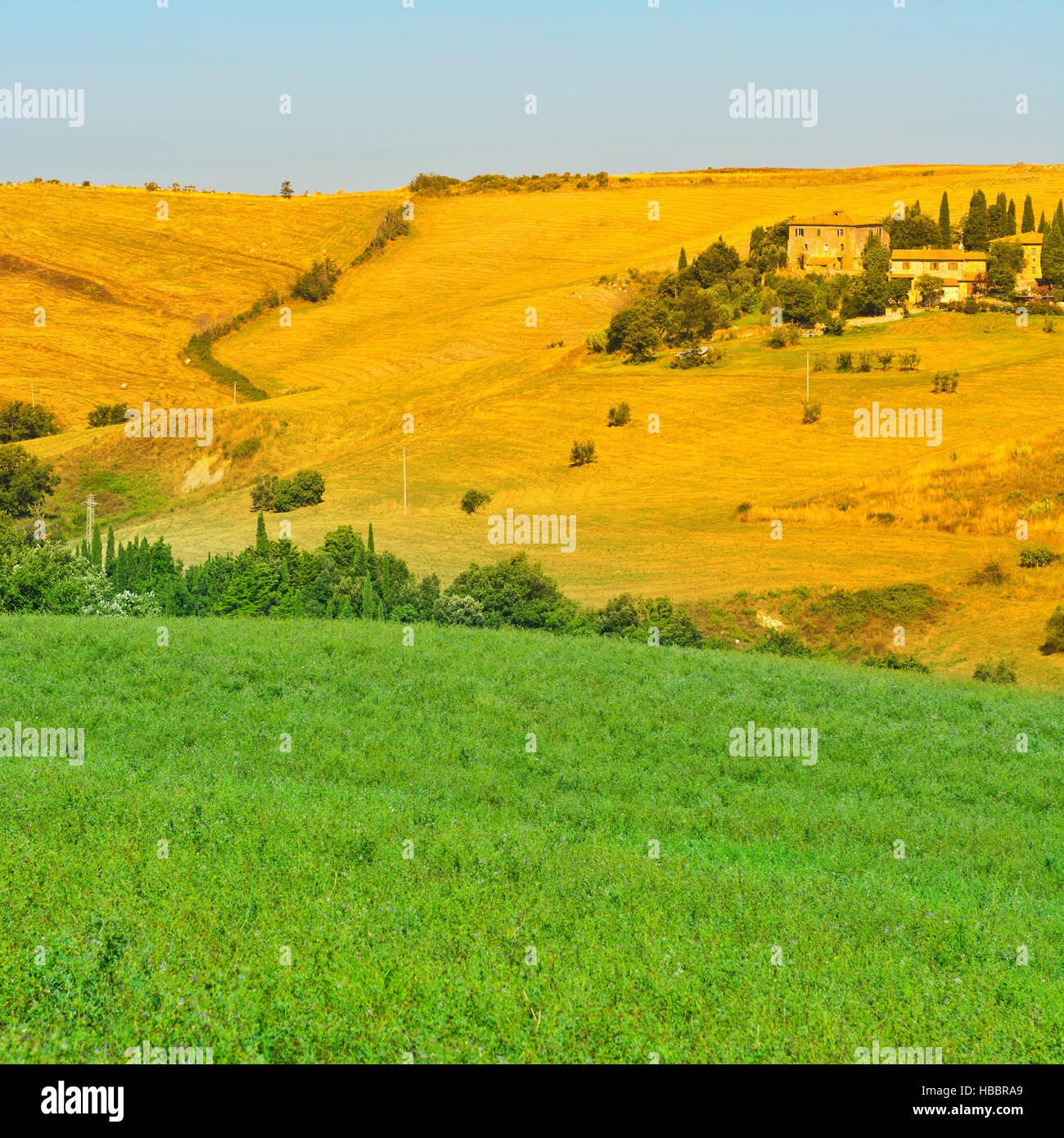 Hills of Tuscany Stock Photo - Alamy