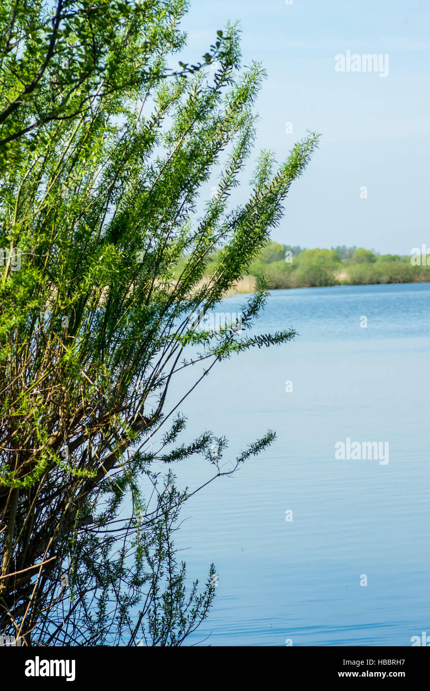 Landscape at the Dümmer lake Stock Photo - Alamy
