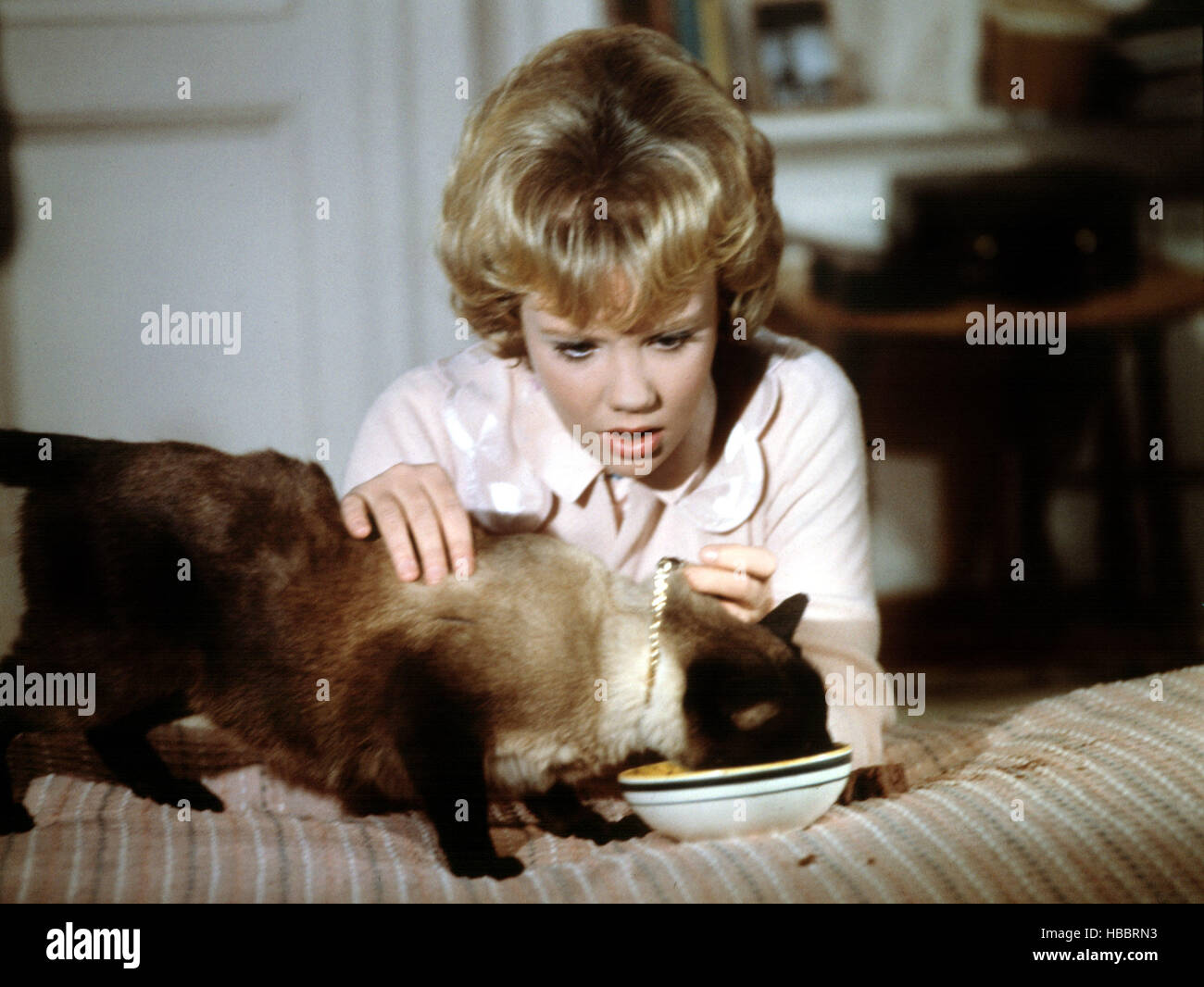 THAT DARN CAT, Hayley Mills, 1965 Stock Photo - Alamy