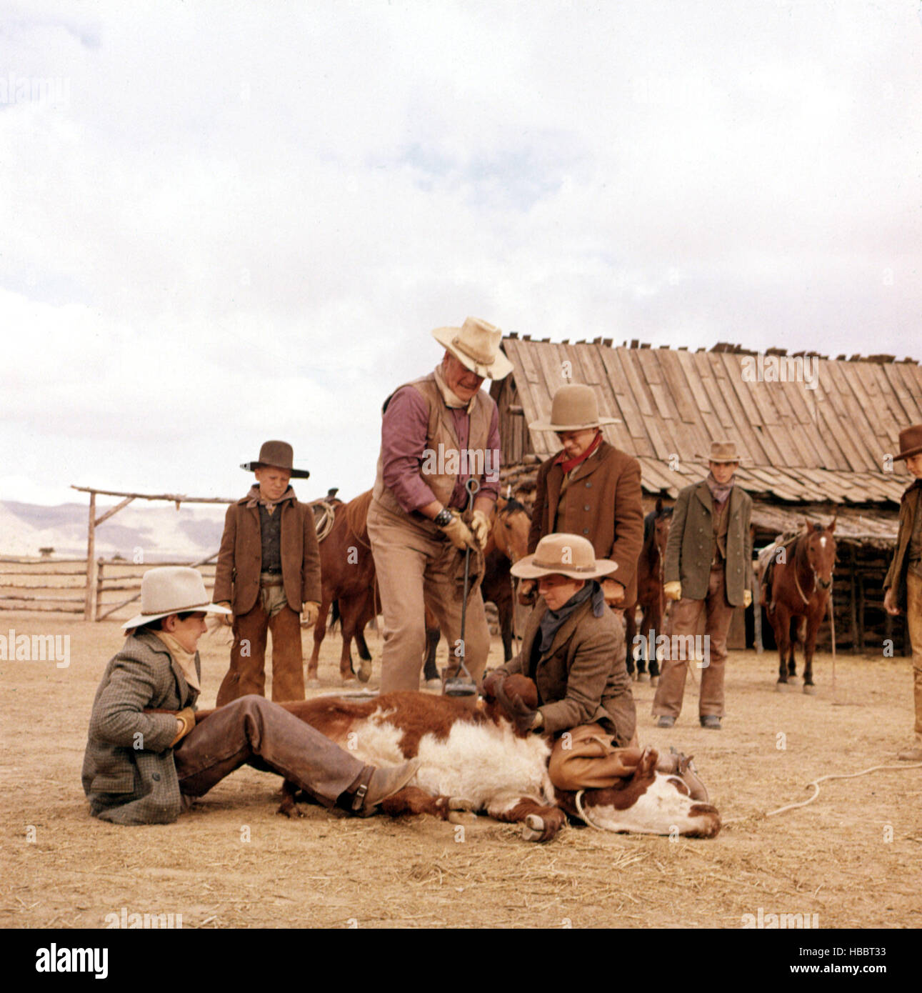 COWBOYS, John Wayne (center), 1972 Stock Photo - Alamy