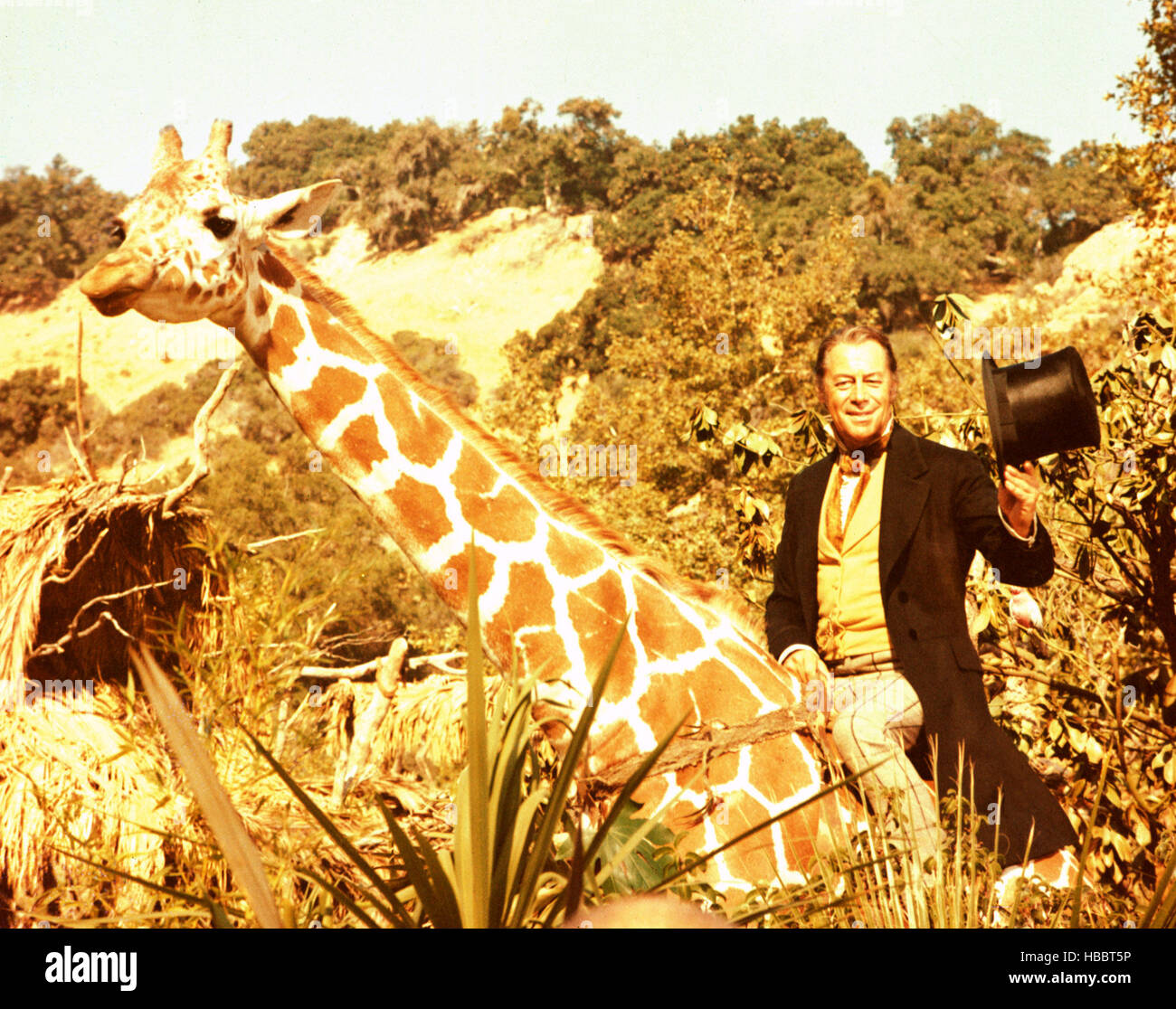 Doctor dolittle giraffe High Resolution Stock Photography and Images - Alamy
