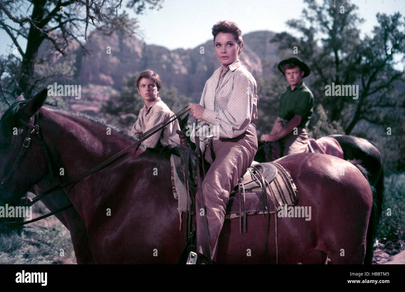 THE LAST WAGON, Tommy Rettig, Felicia Farr, Ray Stricklyn, 1956 Stock ...