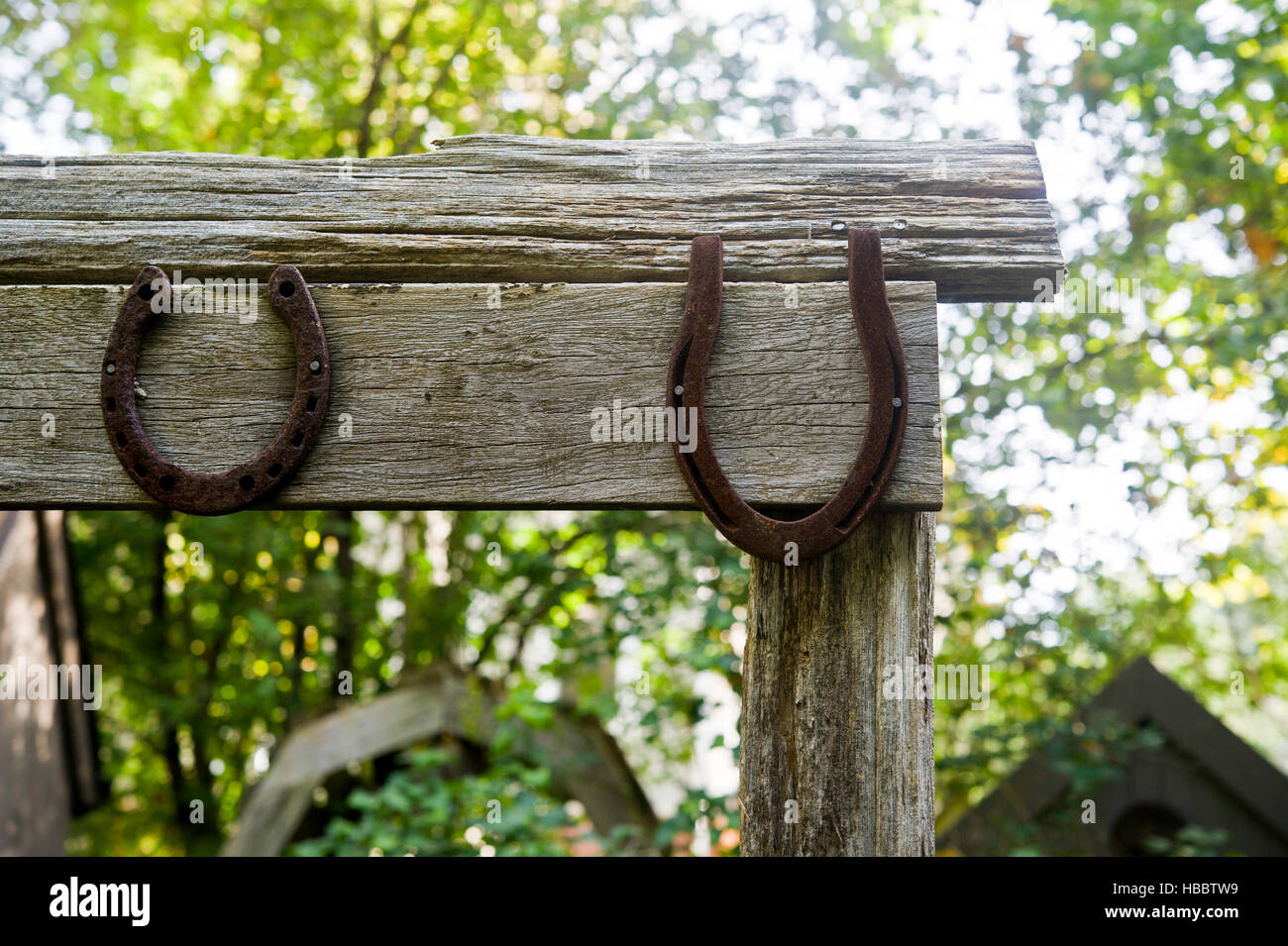 two horseshoes on an old rustic garden gate Stock Photo - Alamy