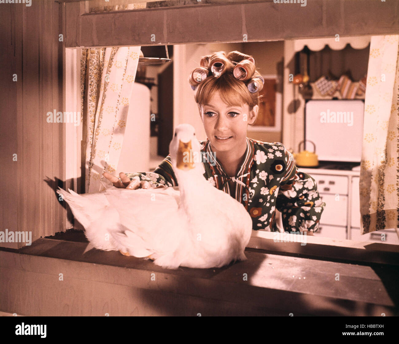 THE MILLION DOLLAR DUCK, Sandy Duncan, 1971 Stock Photo - Alamy