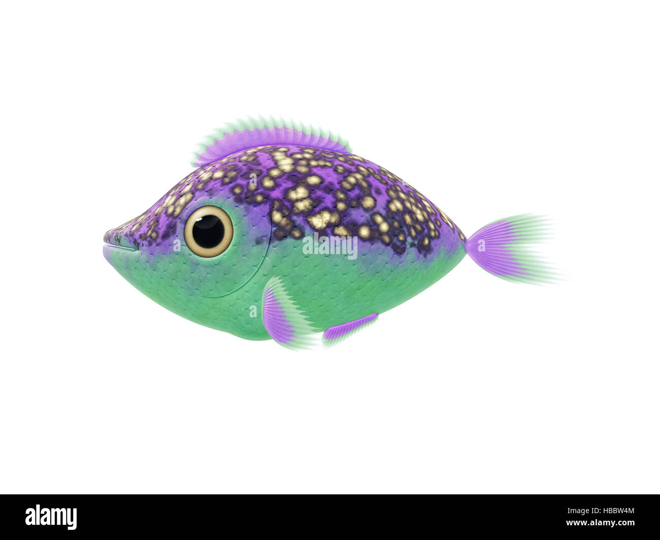 purple green fish Stock Photo - Alamy