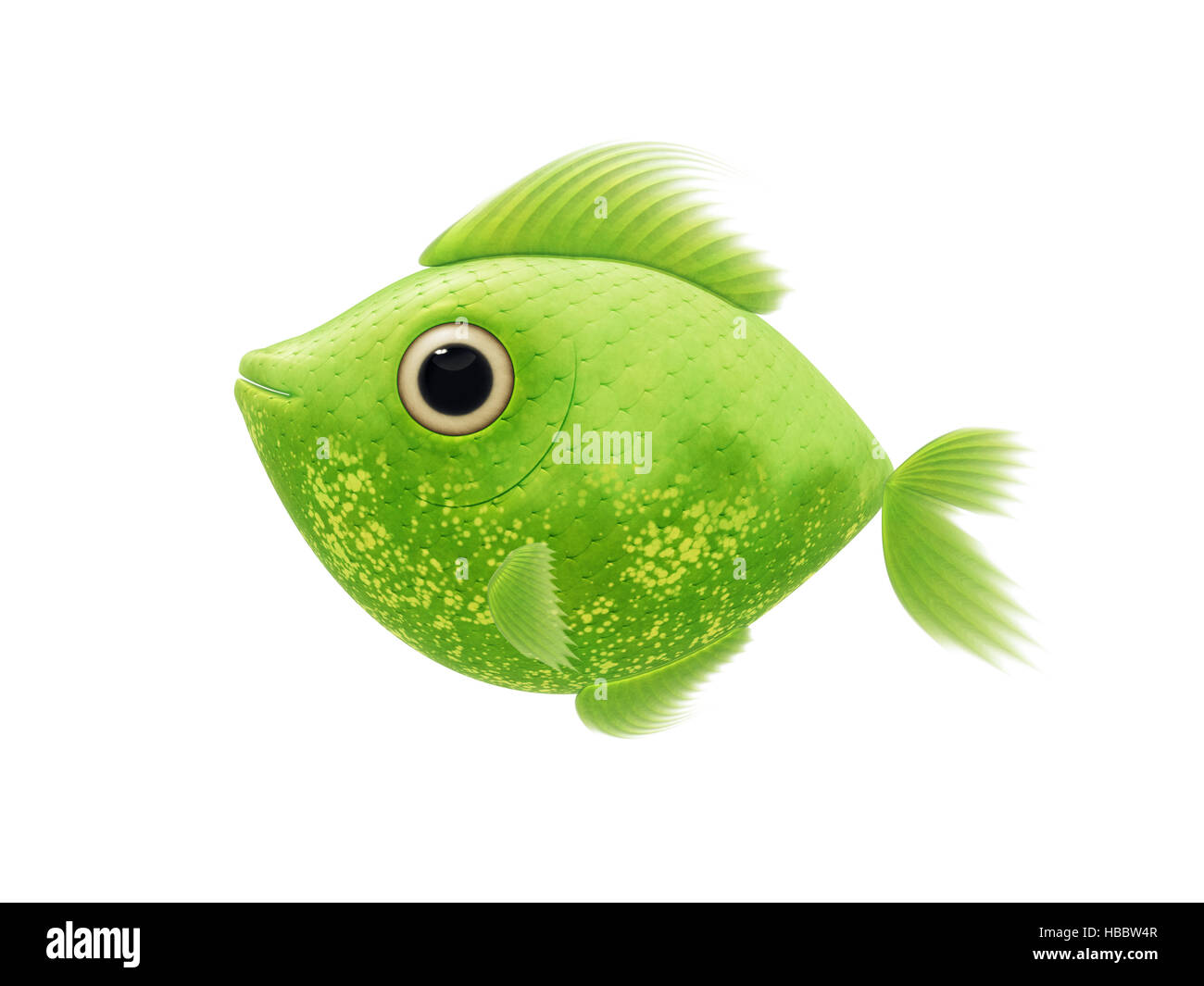 Isolated green fish hi-res stock photography and images - Alamy