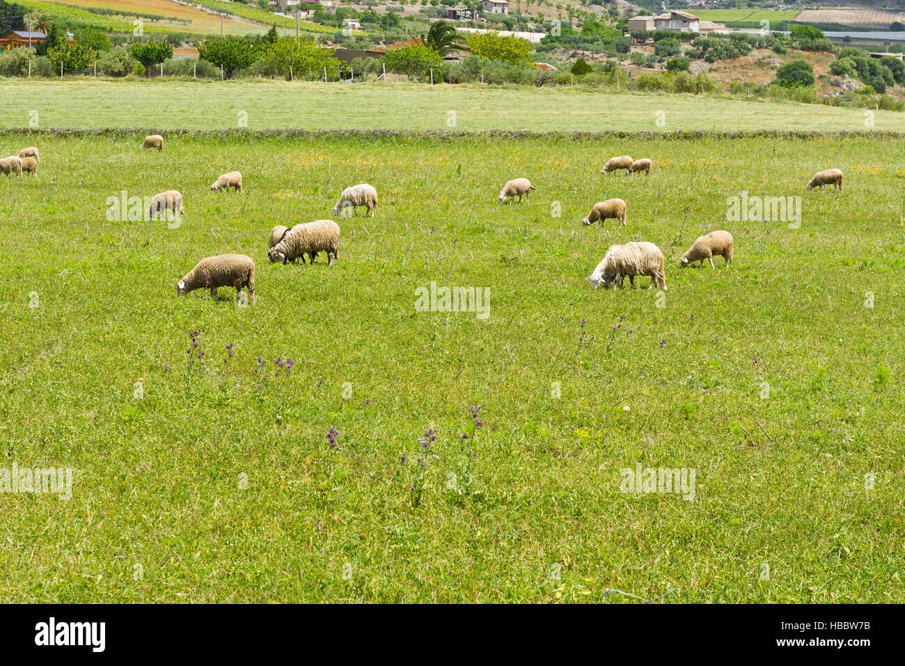 Ground sicily rural landscape hi-res stock photography and images - Alamy