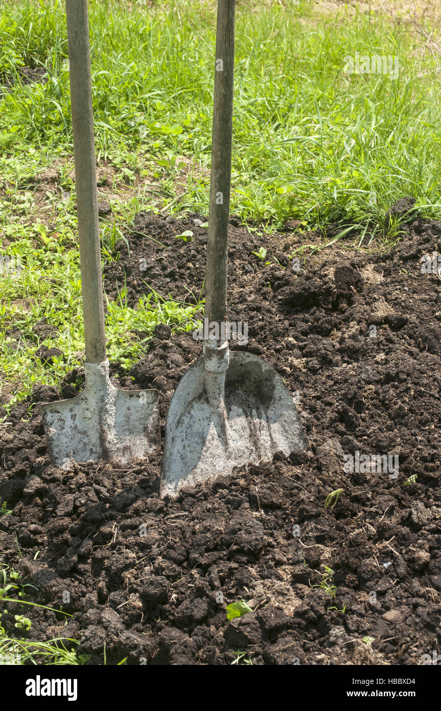 Manure agriculture shovel hi-res stock photography and images - Alamy