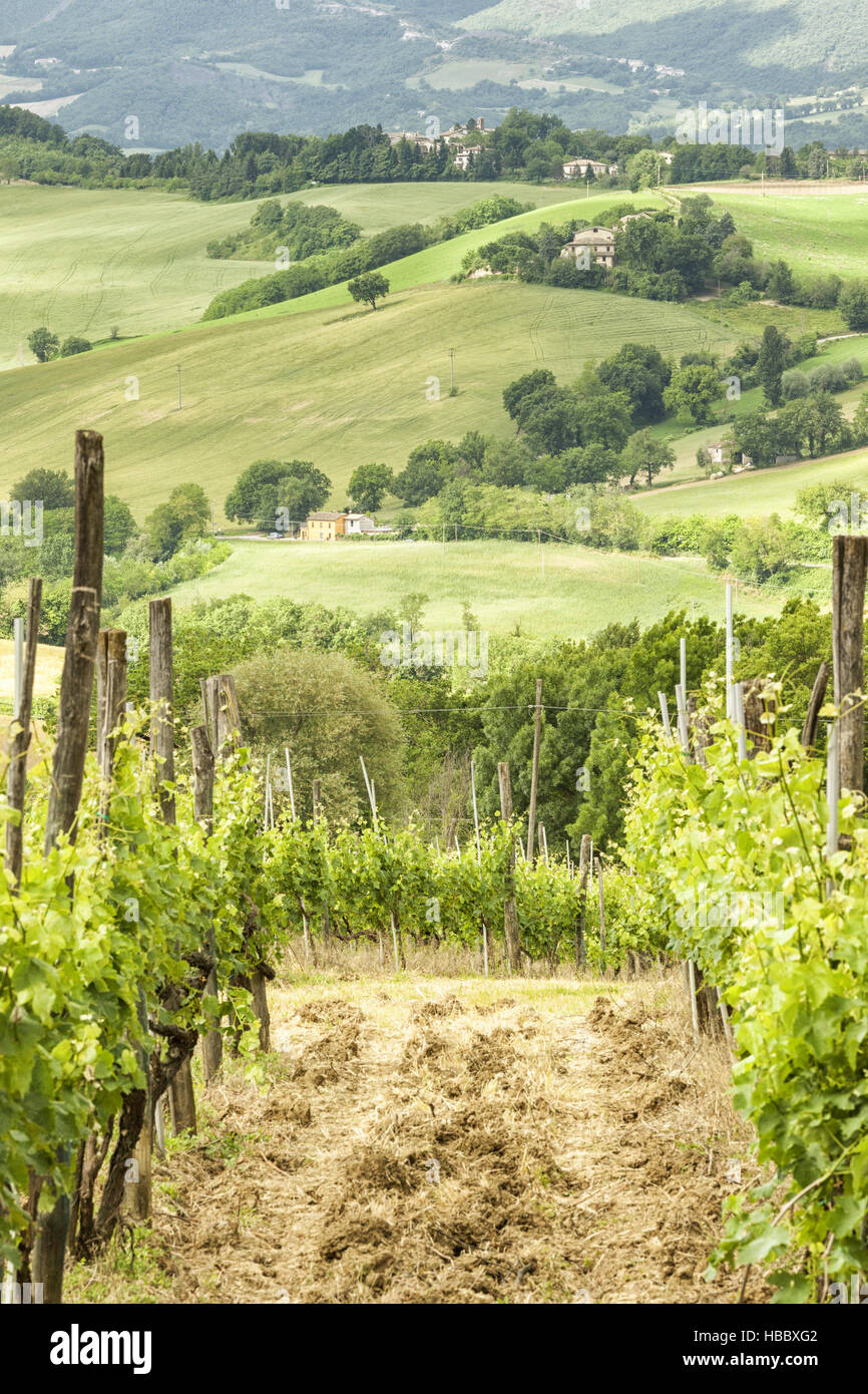 nice view in Italy Marche near Camerino Stock Photo - Alamy