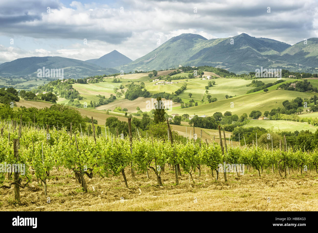 nice view in Italy Marche near Camerino Stock Photo - Alamy