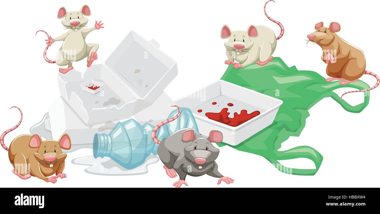 Garbage rats hi-res stock photography and images - Alamy