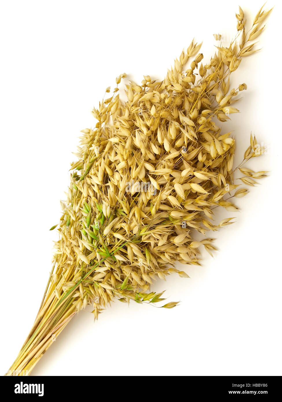 Oat Panicle High Resolution Stock Photography and Images - Alamy