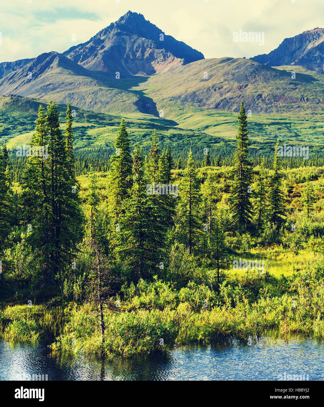 Mountains in Alaska Stock Photo - Alamy