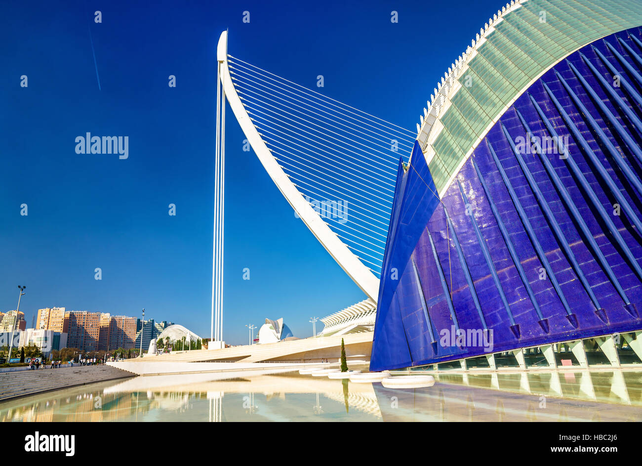 Agora, Assut de l'Or Bridge at the City of Arts and Sciences in ...