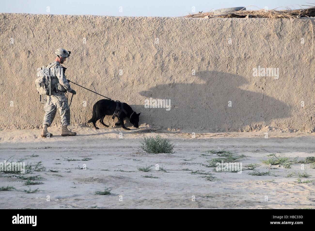 US Army working dog team conducts a patrol in the Zhari district of ...