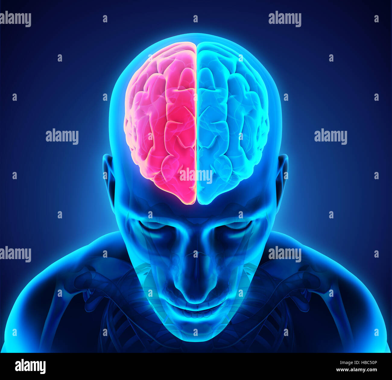Left brain mri hi-res stock photography and images - Alamy