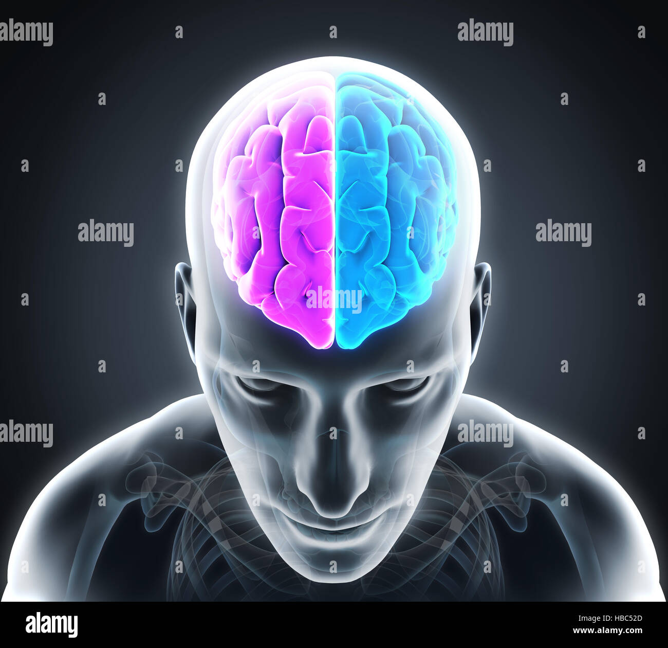 Left brain mri hi-res stock photography and images - Alamy