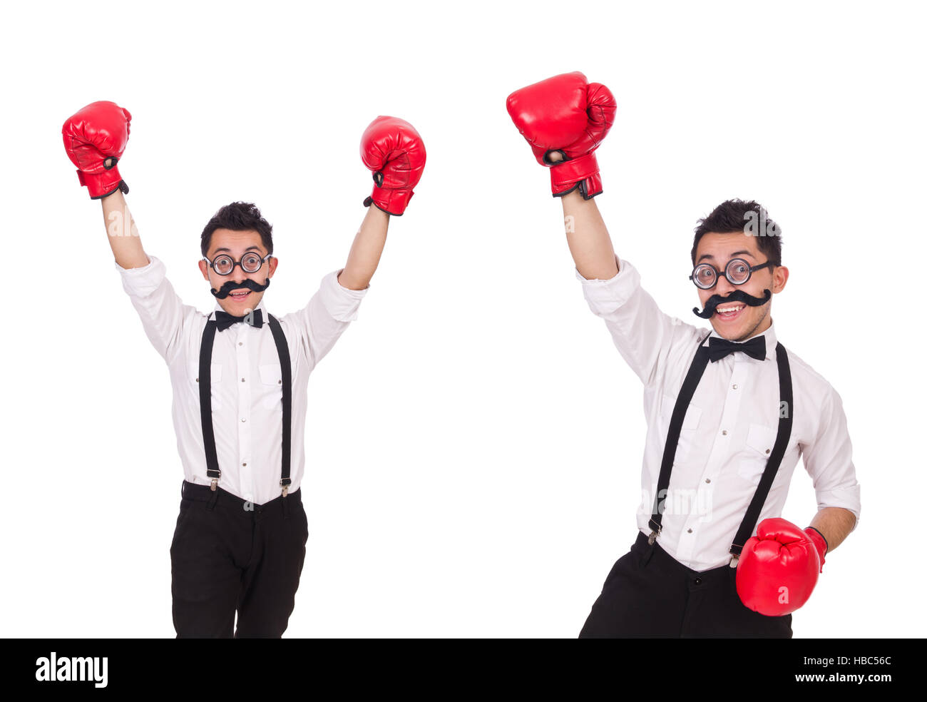Funny boxer isolated on the white background Stock Photo - Alamy