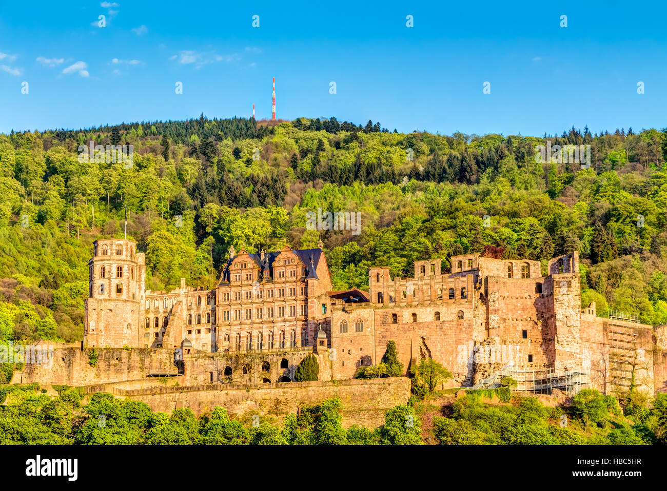 Heidelberg Castle ruin Stock Photo - Alamy Heidelberg Castle ruin Stock Photo - Alamy