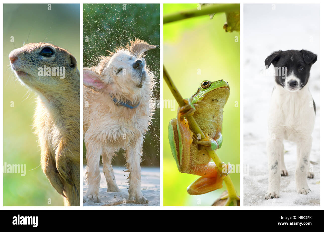 Different seasons of the year - several photos of beautiful nature ...