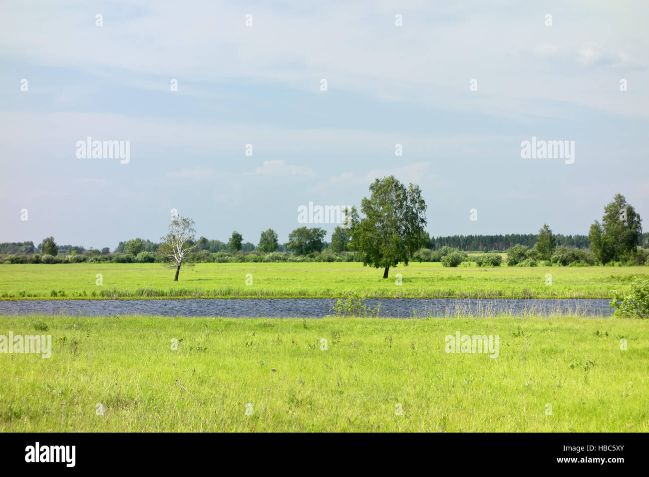 green field background Stock Photo - Alamy