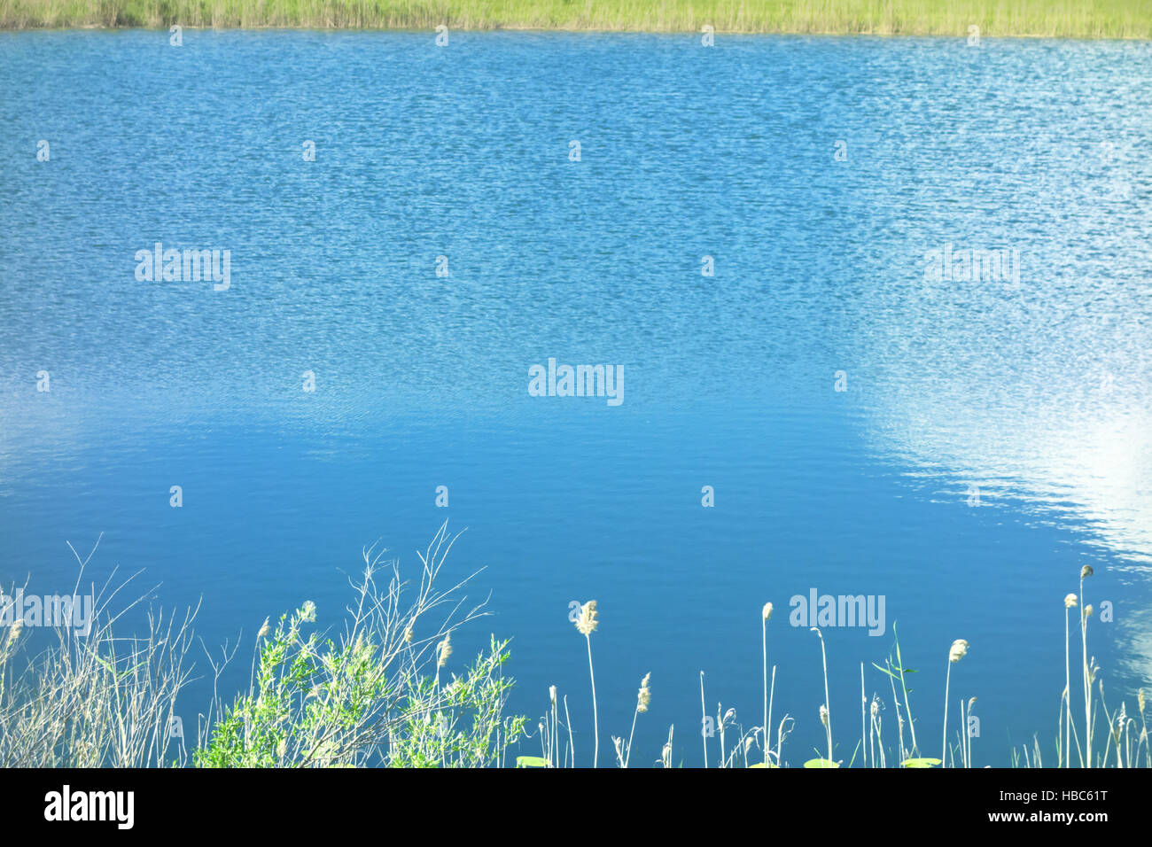 lake water background Stock Photo - Alamy