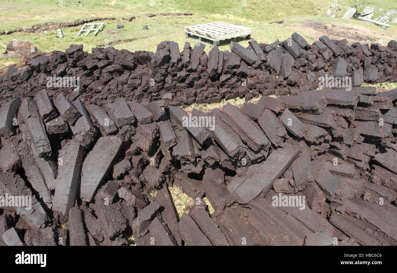 Stacks of peat drying in the sun Yell Shetland Scotland June 2014 Stock ...