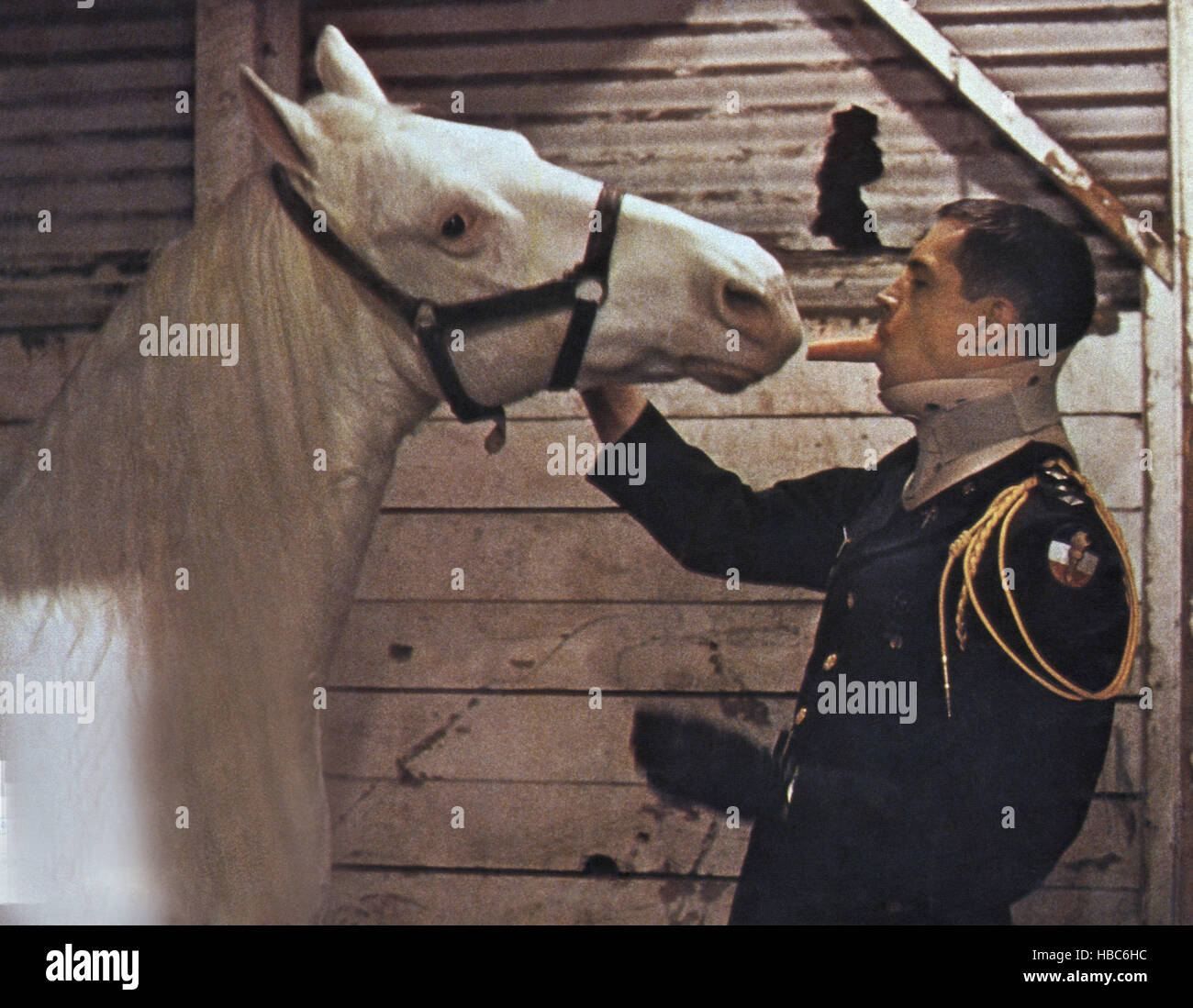 NATIONAL LAMPOON'S ANIMAL HOUSE, (aka ANIMAL HOUSE), Mark Metcalf, 1978 ...