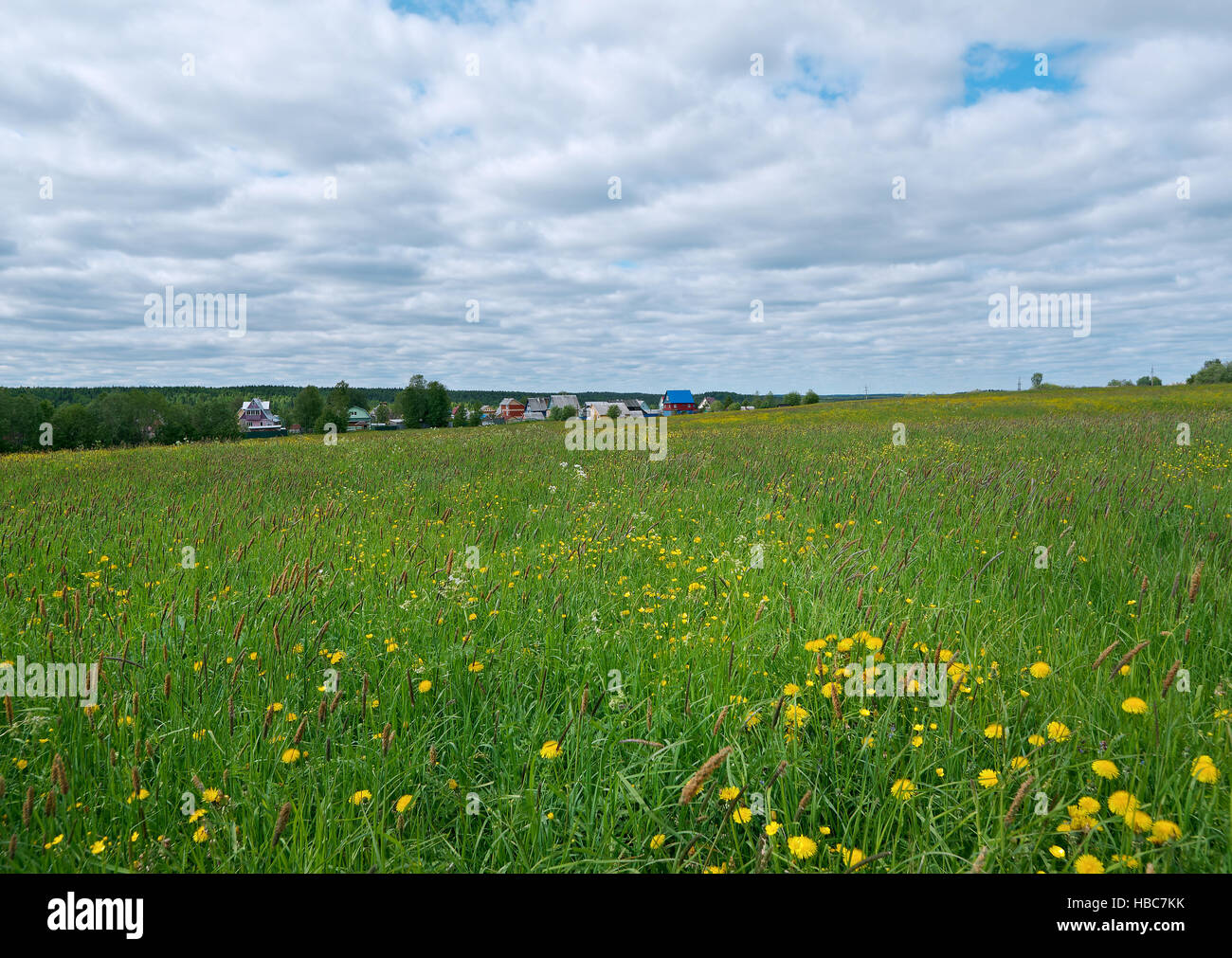 Russian spring meadow Stock Photo - Alamy