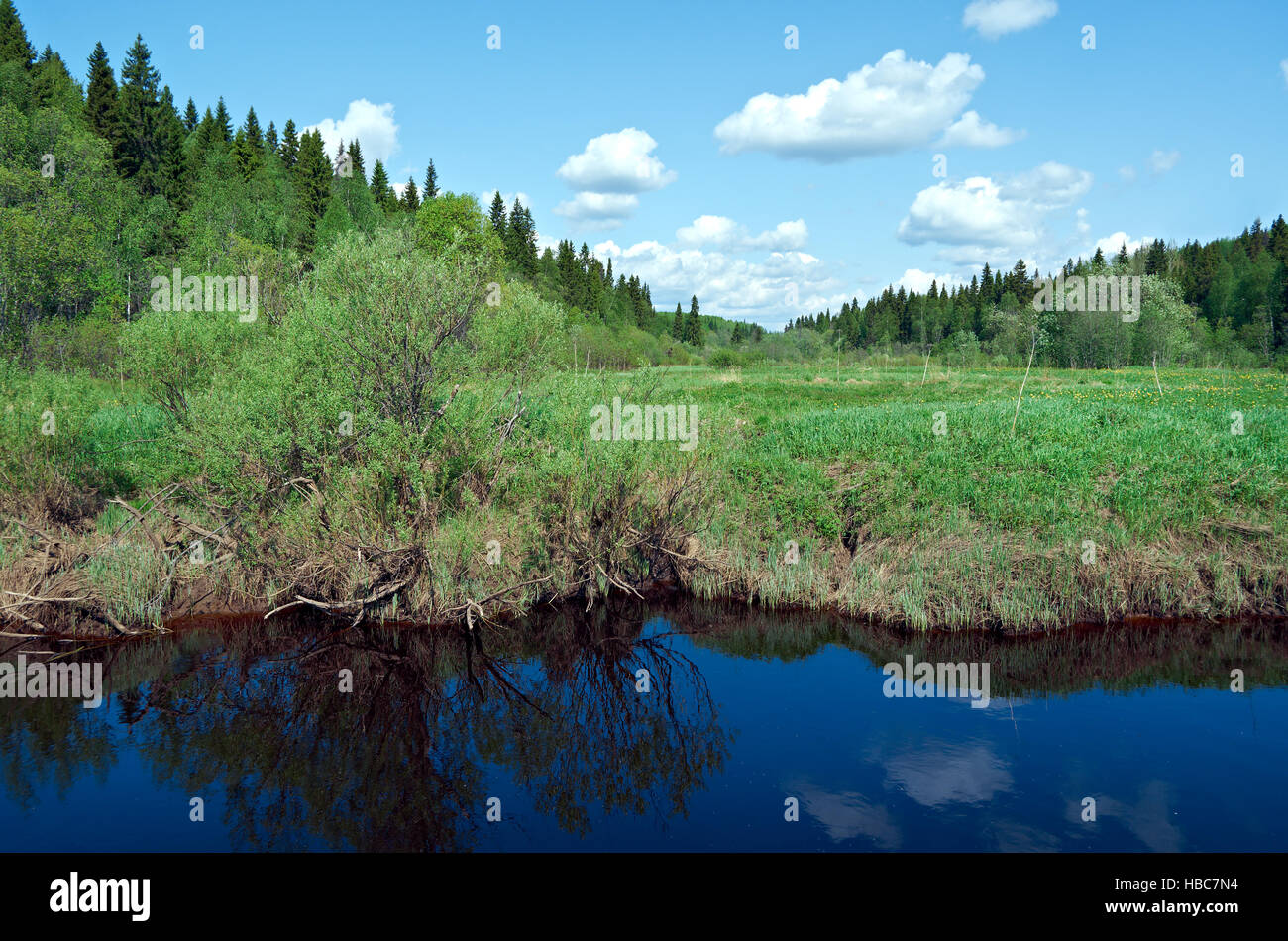 Spring on the river Stock Photo - Alamy