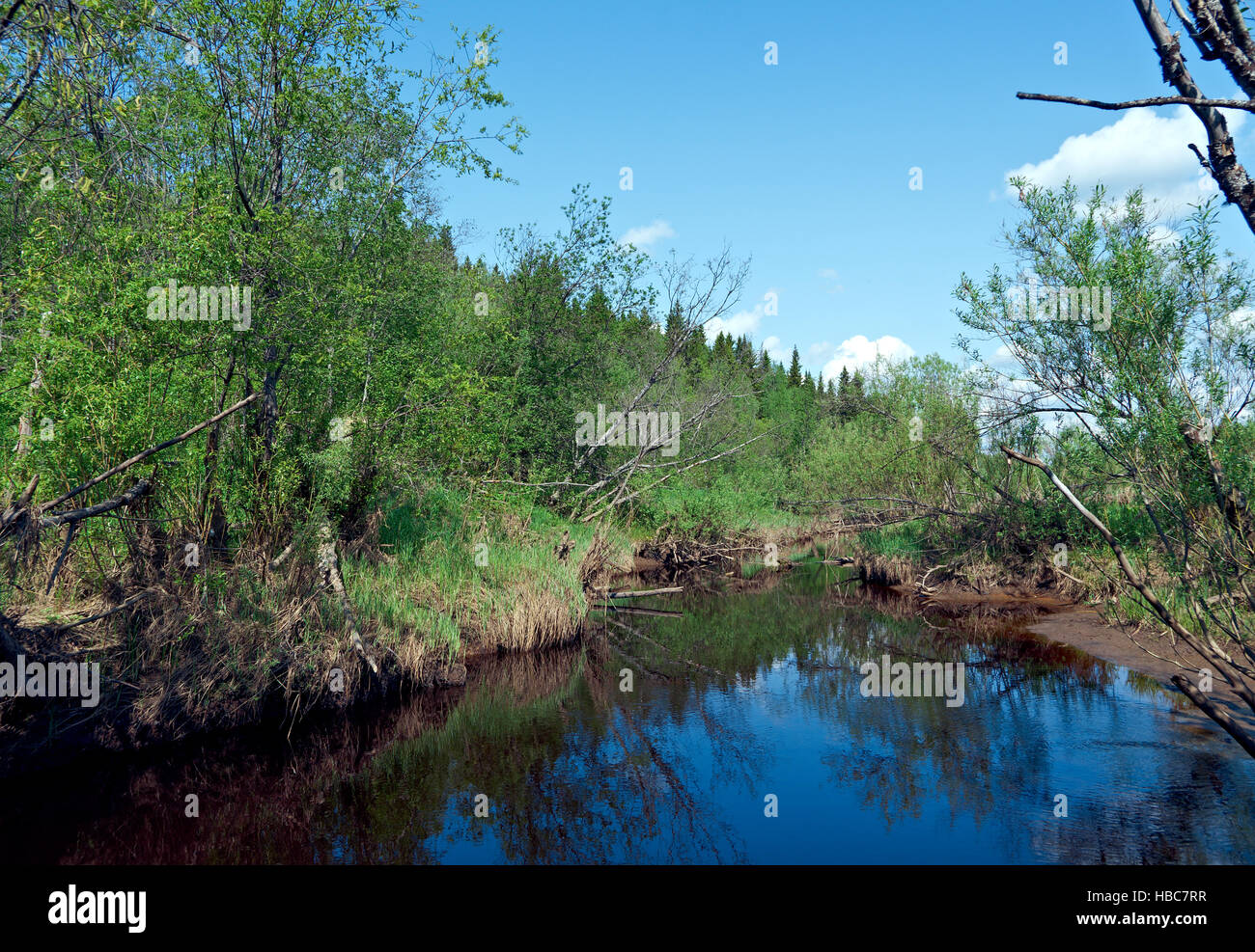 Spring on the river Stock Photo - Alamy