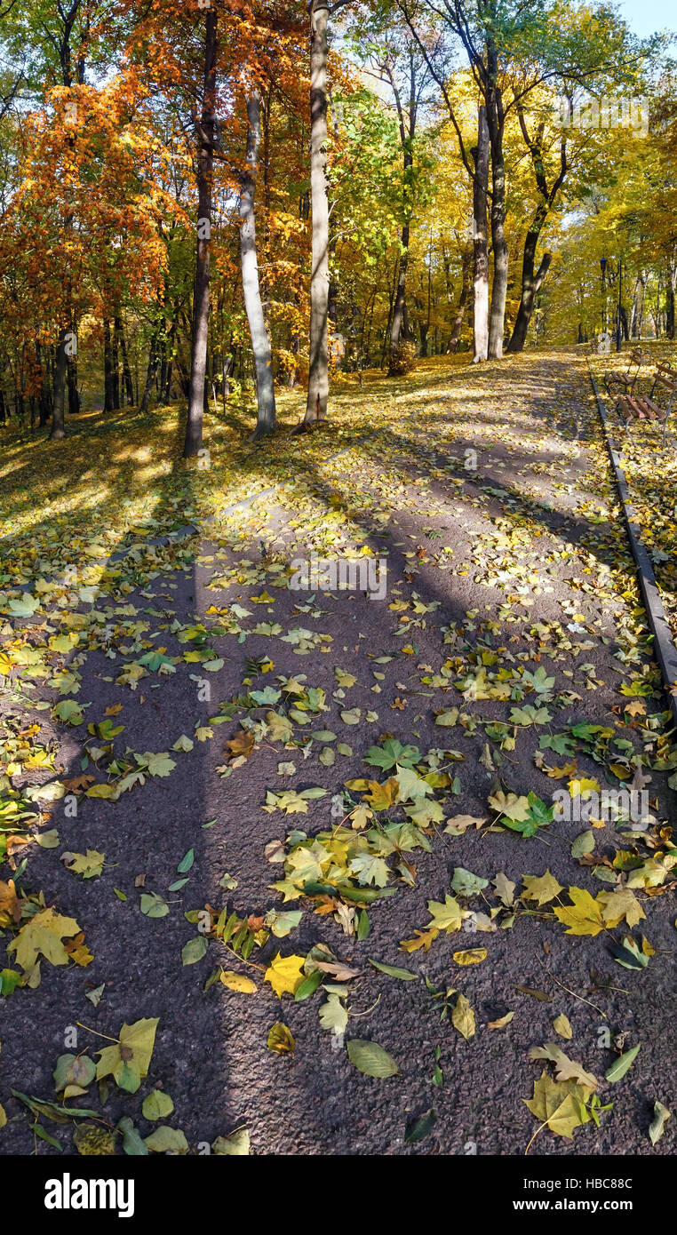 Autumn city park Stock Photo - Alamy