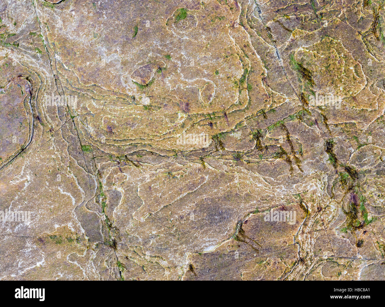 Stony background macro Stock Photo - Alamy