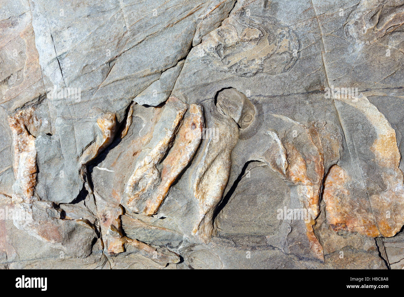 Stony background macro Stock Photo - Alamy