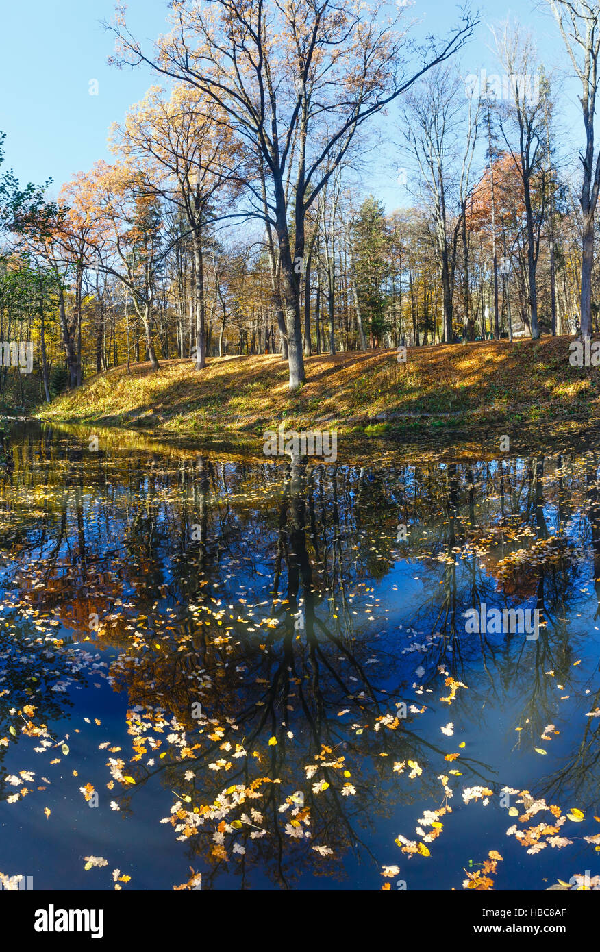 Autumn in the pond hi-res stock photography and images - Alamy