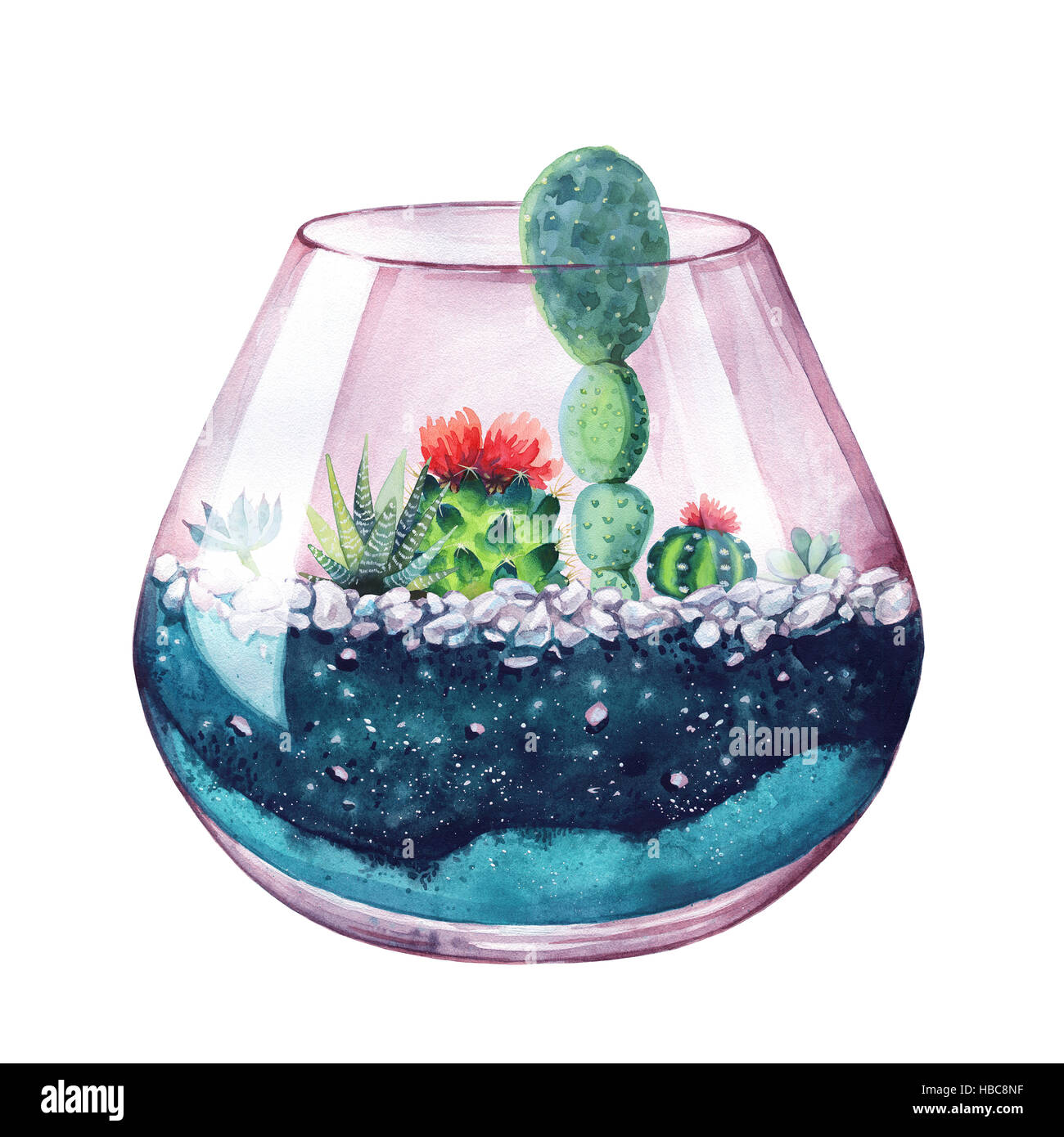 Watercolor terrarium.. A garden of succulents Stock Photo - Alamy