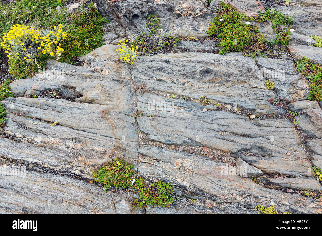 Part of rock close up Stock Photo - Alamy