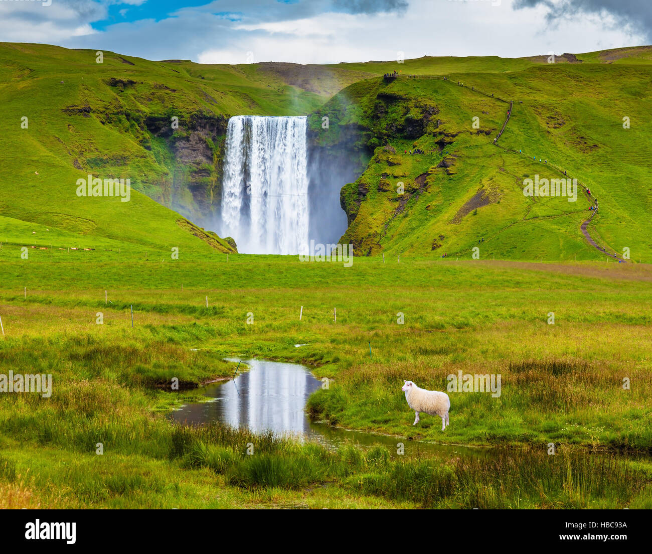Grazed hi-res stock photography and images - Alamy