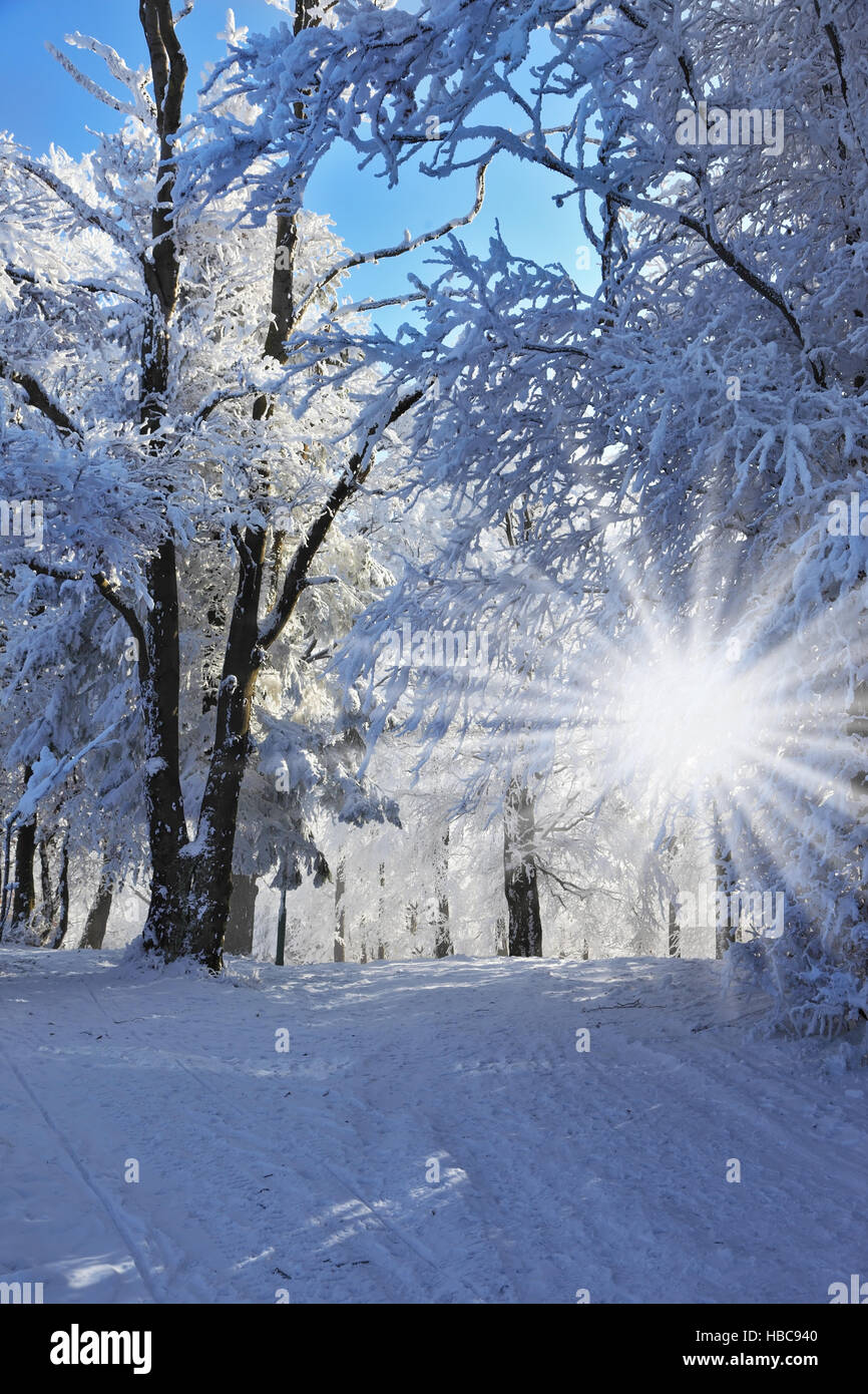 Christmas morning sunrise hi-res stock photography and images - Alamy