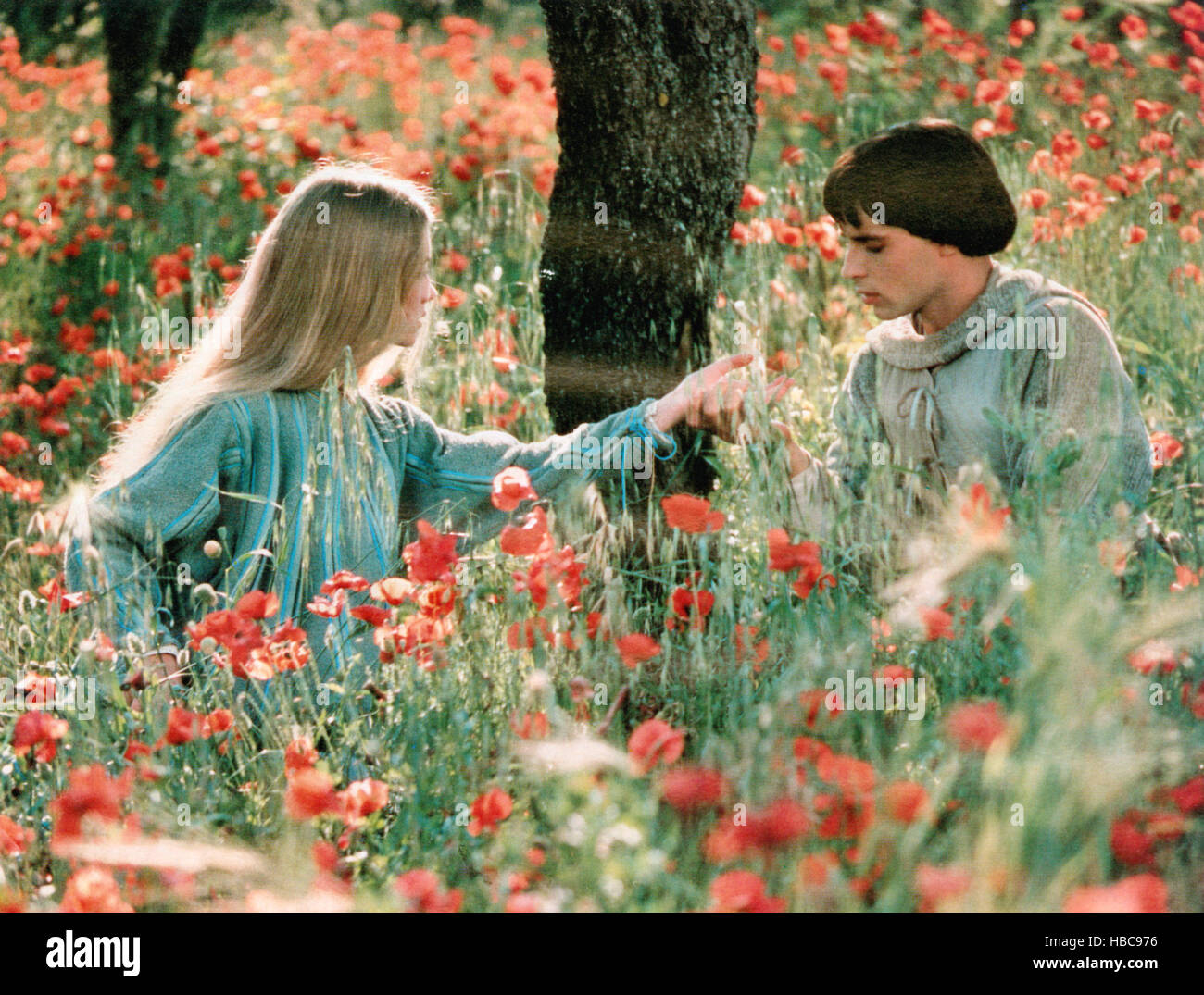 BROTHER SUN, SISTER MOON, (aka FRATELLO SOLE, SORELLA LUNA), Judi ...